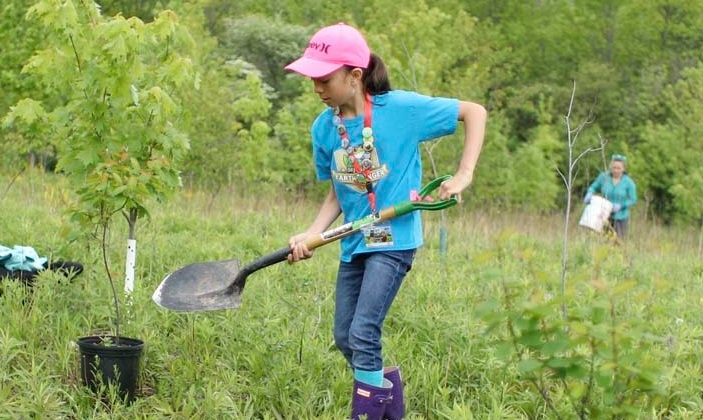 Tangerine Project Forward | Tangerine